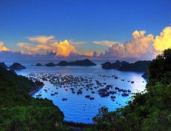 Lanha Bay Halong Junk Cruise