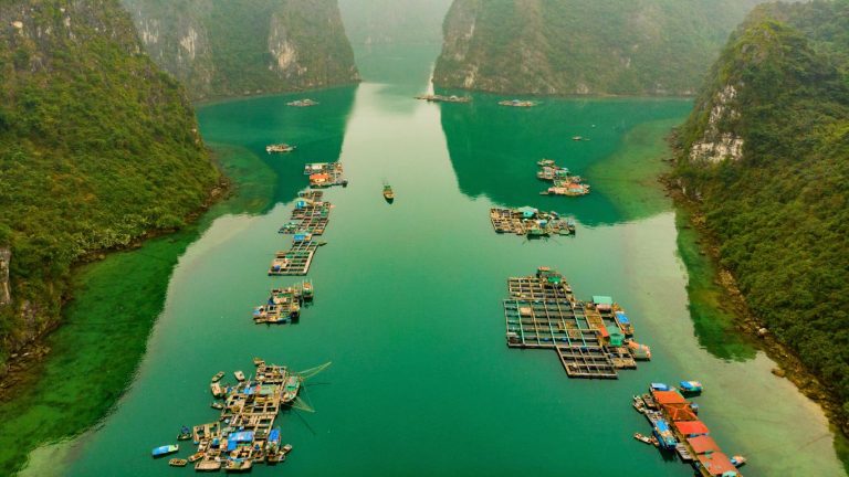 Top fishing villages you must visit in Halong Bay